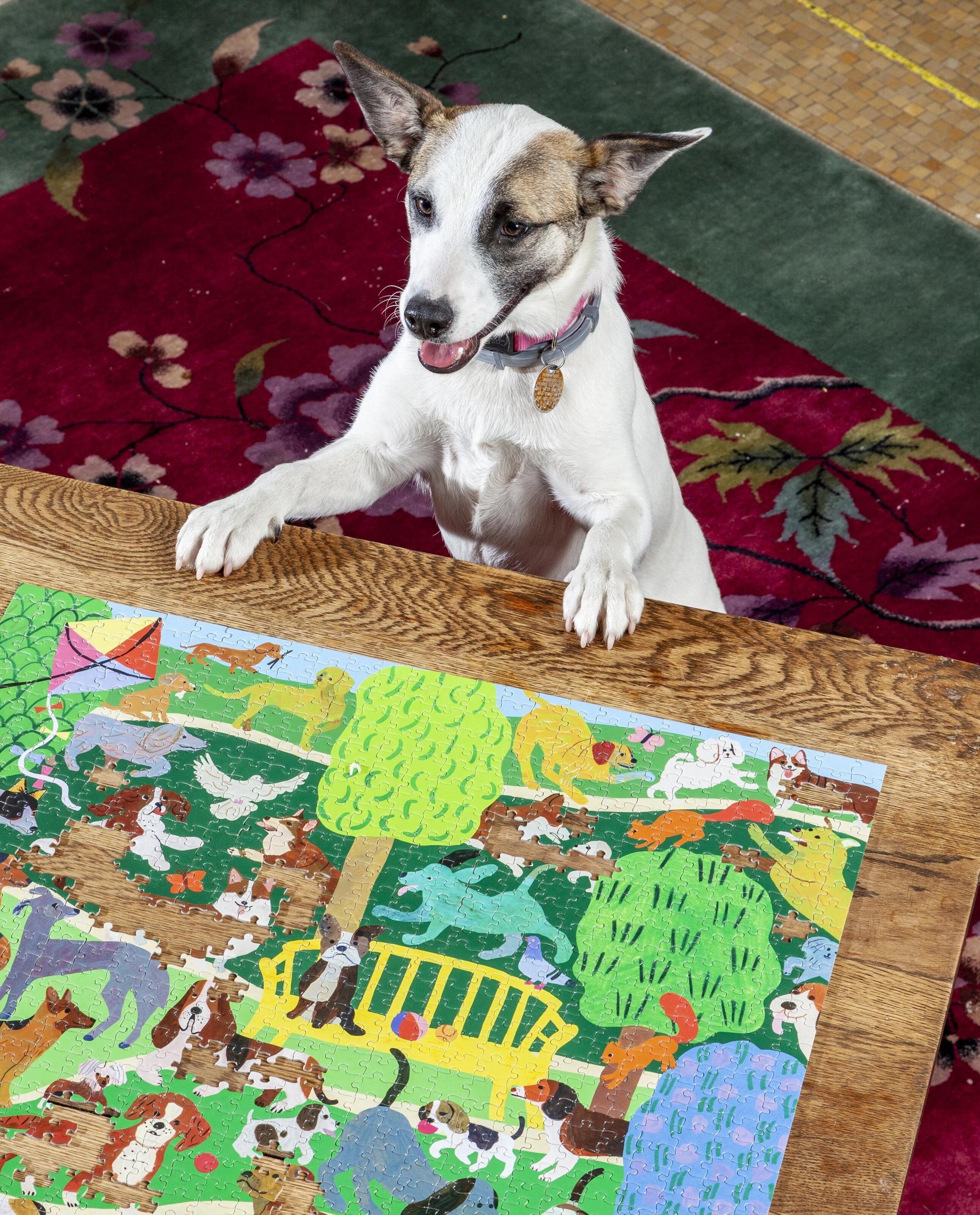 Puzzle Psi v parku + k objednávce puzzle zdarma | ZDEKO — internetový ...